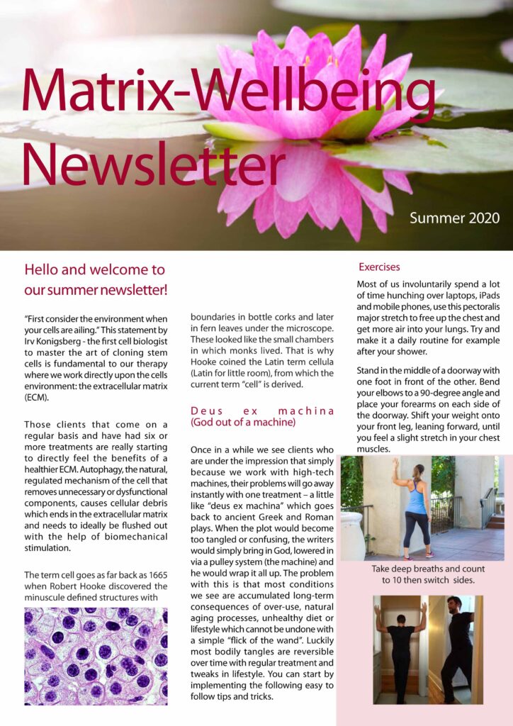 Summer Newsletter — Matrix-Wellbeing